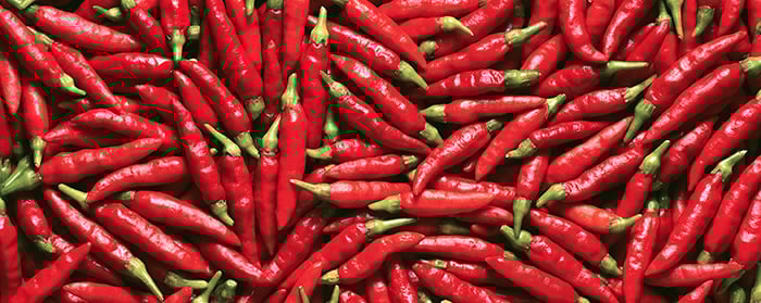 Death by Chili Pepper? | Vocabulary Activities | Scholastic Storyworks ...