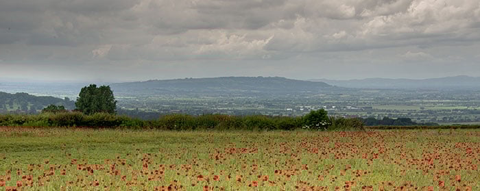 In Flanders Fields | Writing Poetry | Scholastic Storyworks Magazine