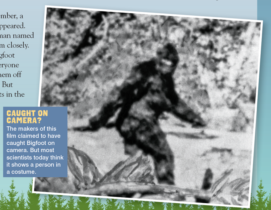 bigfoot articles