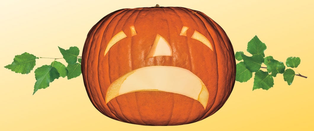 A Pumpkin Problem (and 5 Solutions!)