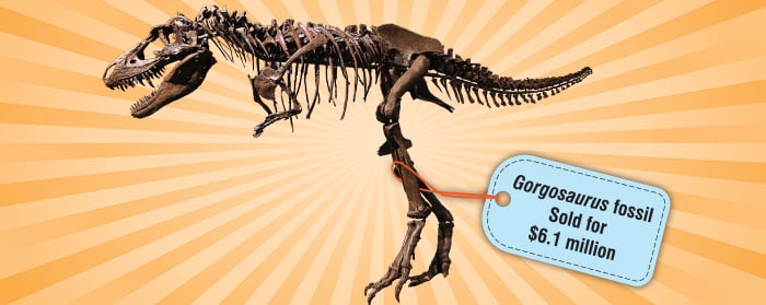 Should This Skeleton Be for Sale?