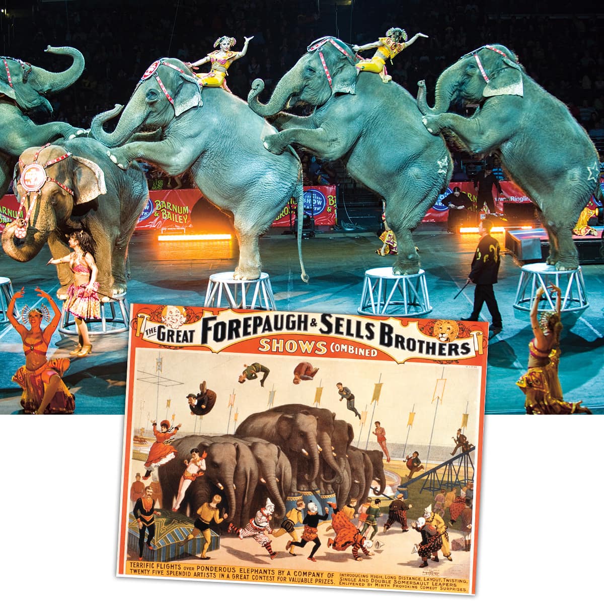 Flora Boss's Instagram, Twitter & Facebook on IDCrawl