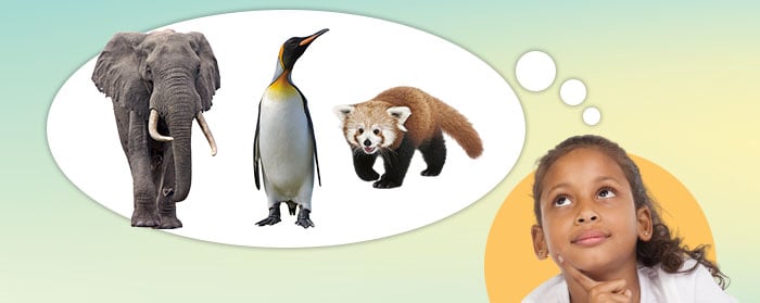 If I Were an Animal, I Would Be